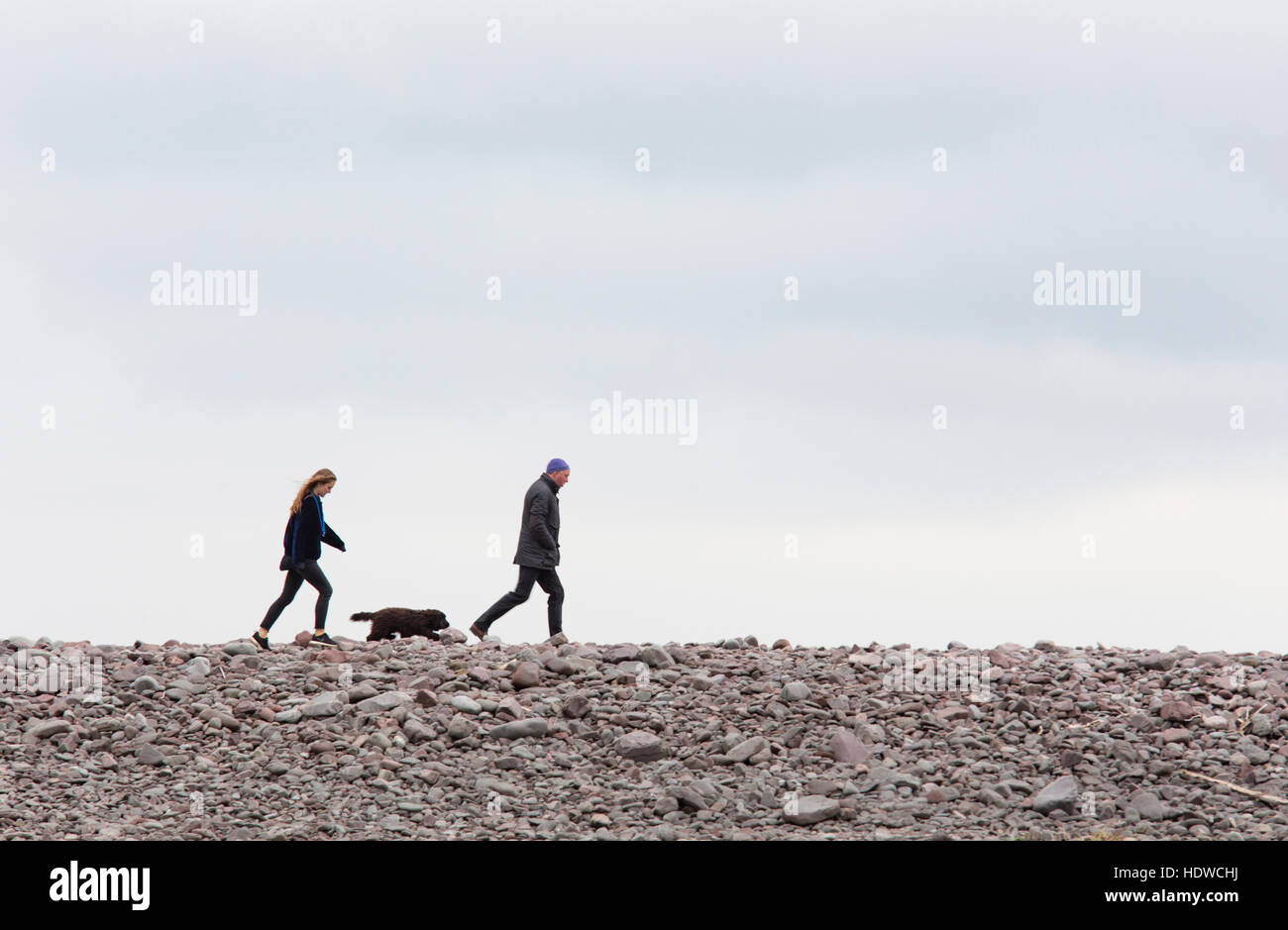 People walking dogs on beach hi-res stock photography and images - Alamy