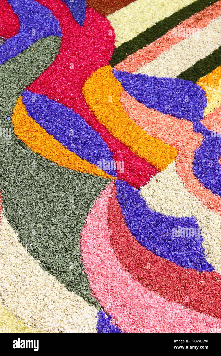 Multicolored floral carpet made with flower petals Stock Photo - Alamy