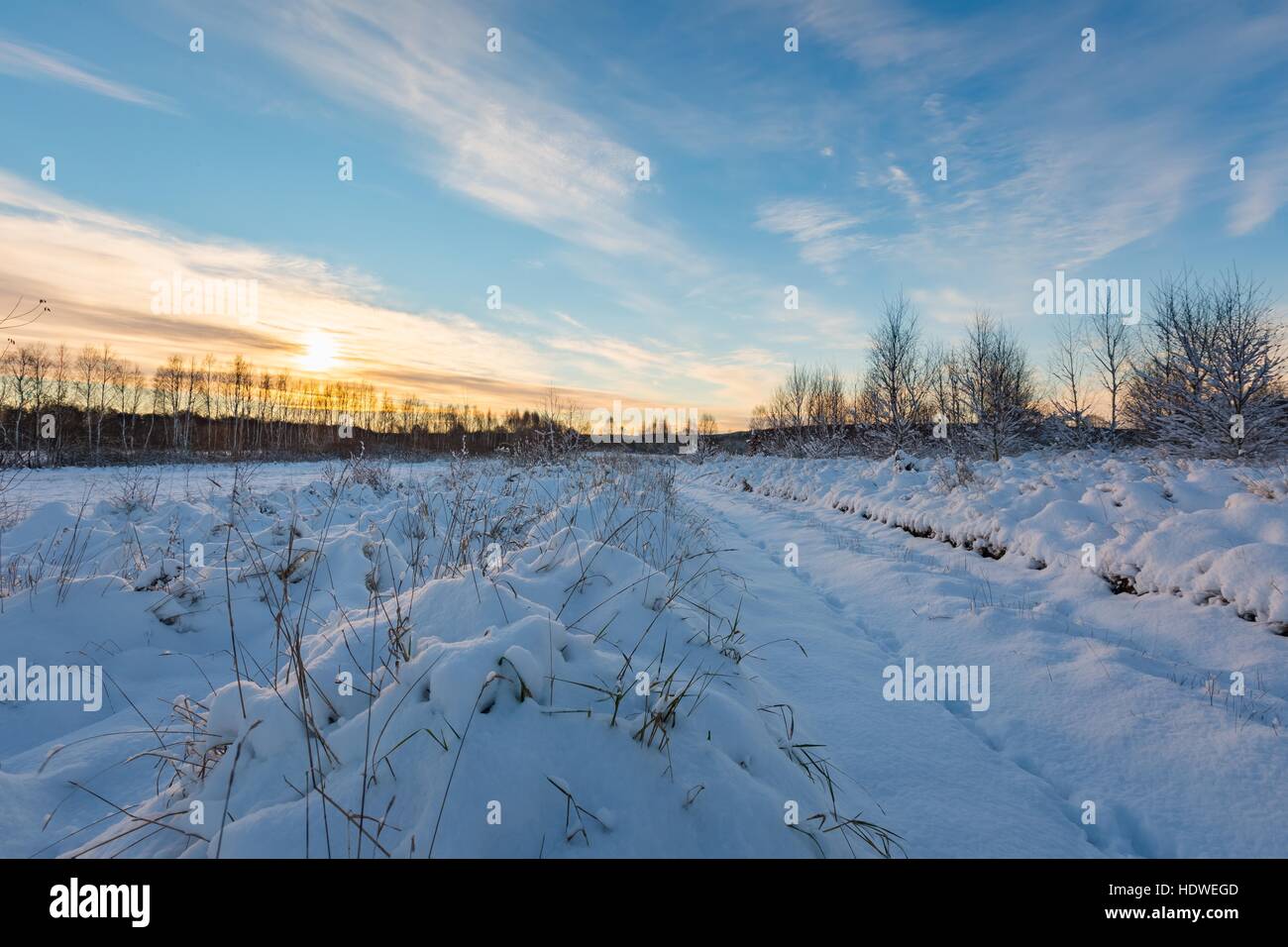 Beautiful winter field, road and trees landscape. Snow covered polish ...