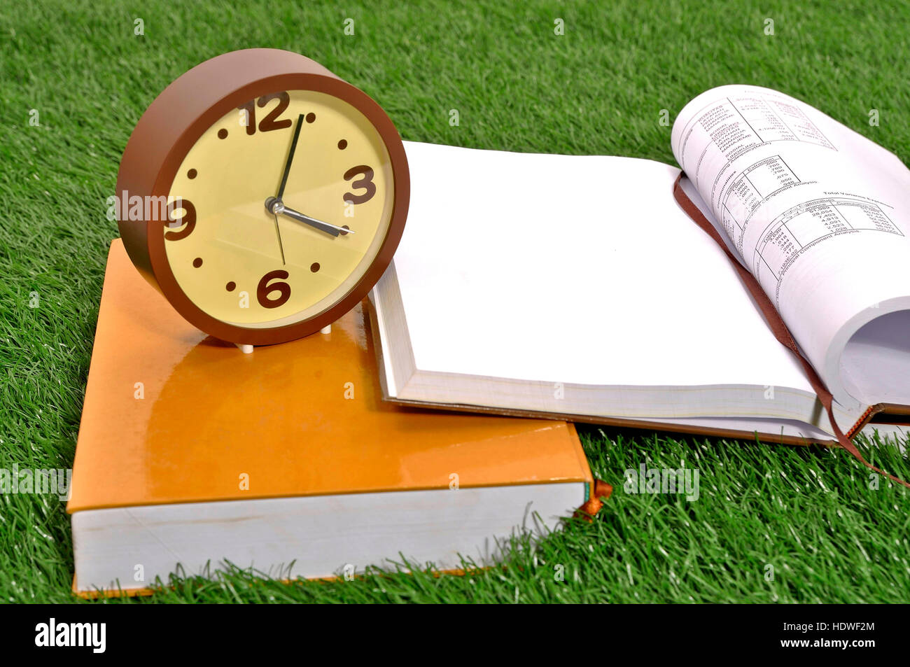 Learn college study on the green grass outdoor Stock Photo - Alamy