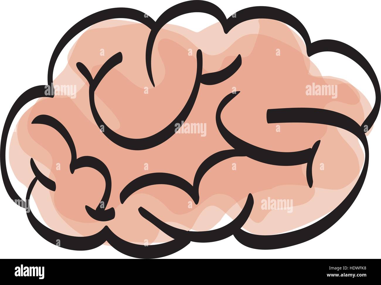 Human brain scribble icon vector illustration graphic design Stock ...