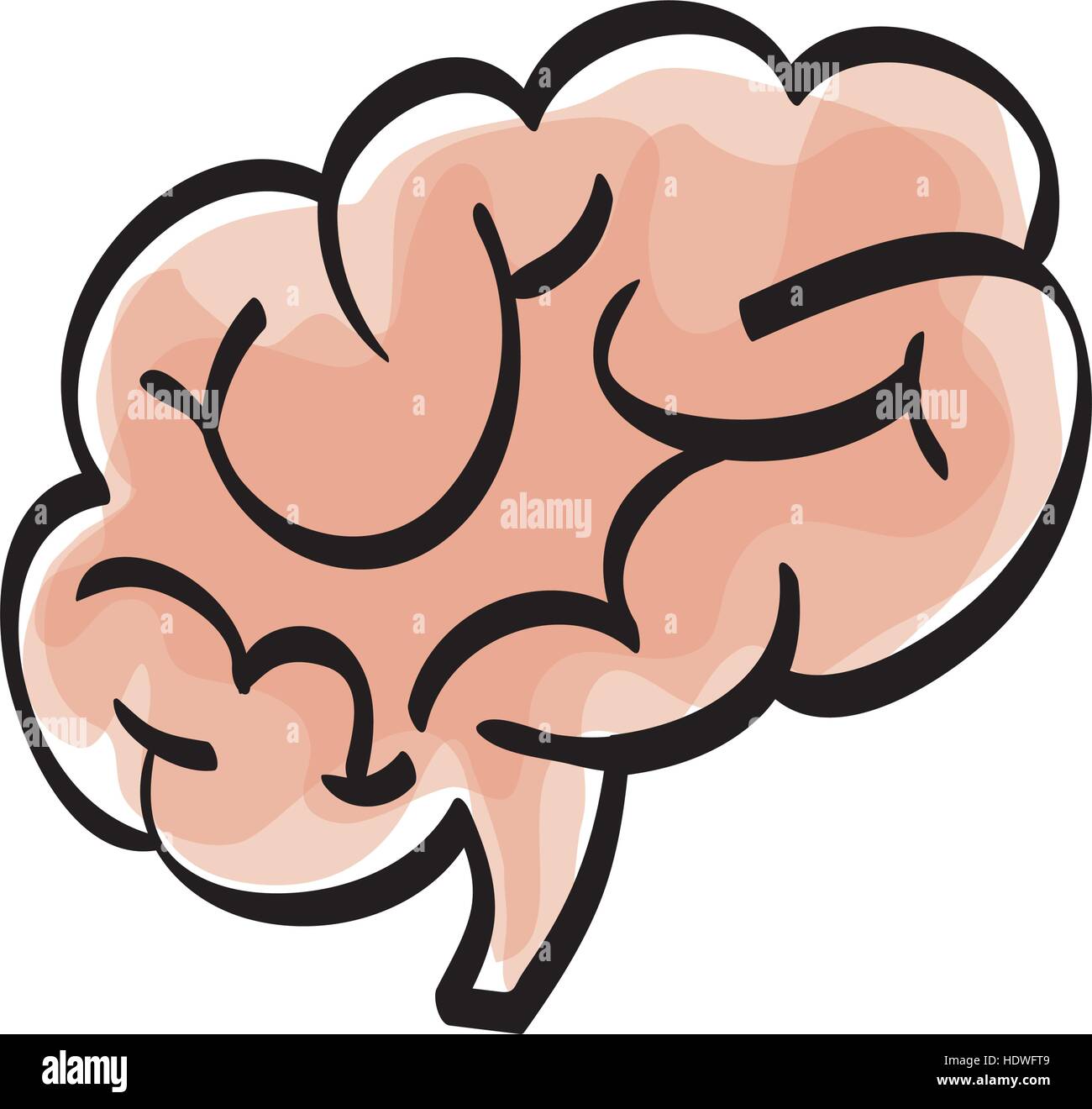 Human brain scribble icon vector illustration graphic design Stock ...