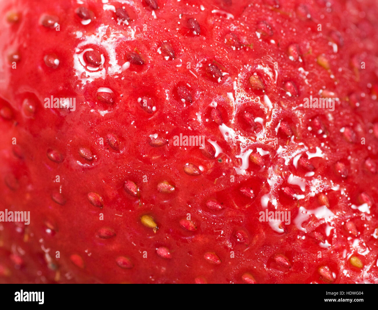 Strawberry texture, shot on the studio with macro lens Stock Photo - Alamy