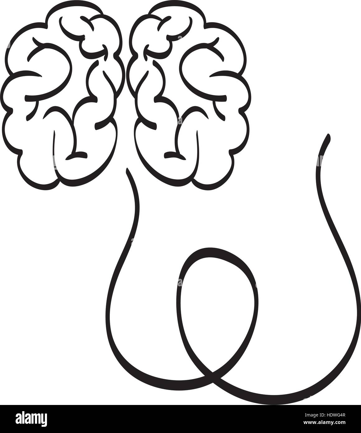 Human brain scribble icon vector Stock Vector Images - Alamy