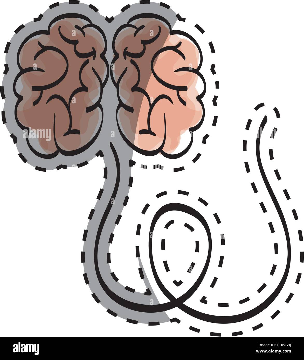 Human brain scribble icon vector illustration graphic design Stock ...