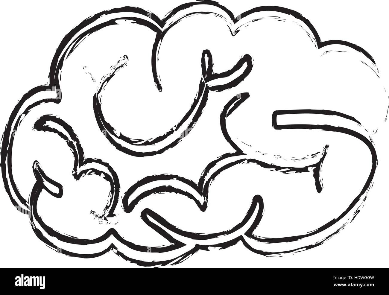 Human brain scribble icon vector illustration graphic design Stock ...