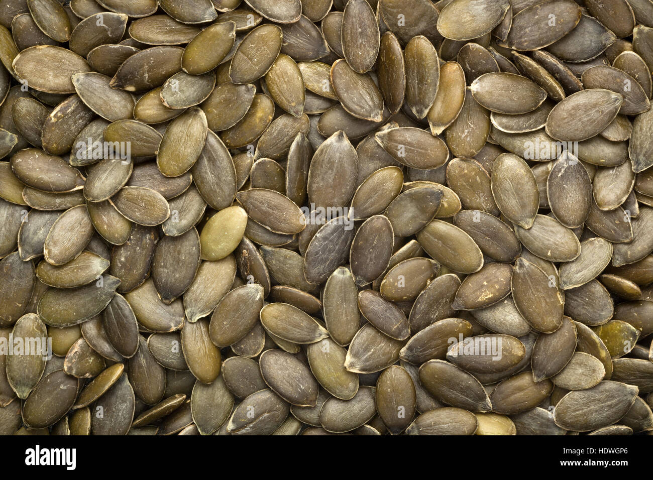 Closeup of lots of pumpkin seeds Stock Photo - Alamy