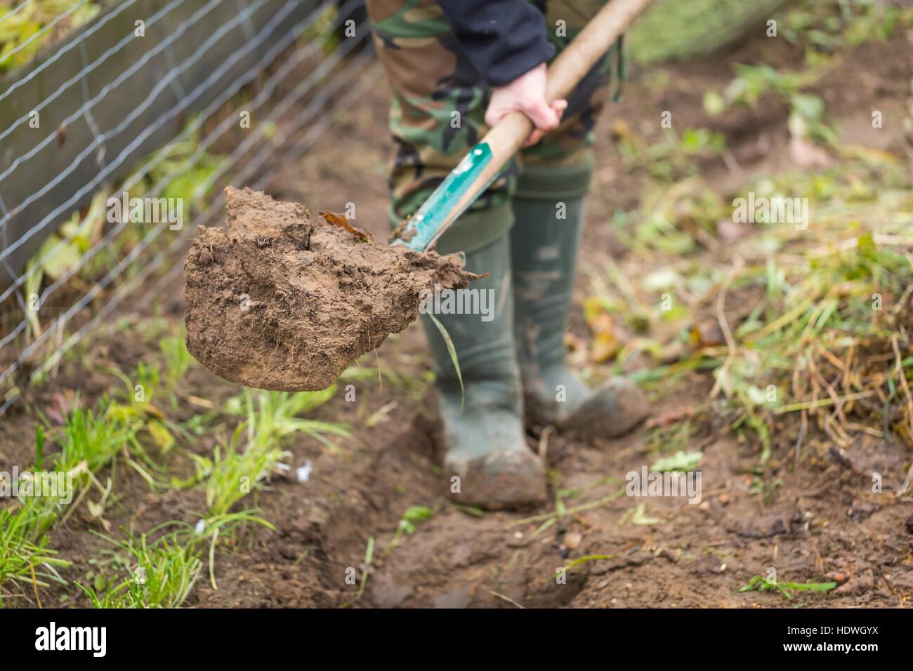Man digging with spade hi-res stock photography and images - Alamy