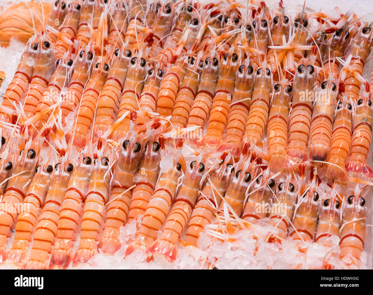 Scampi seafood hi-res stock photography and images - Alamy