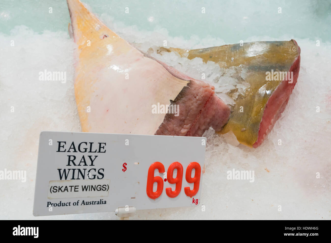 Close-up of Eagle ray wings Stock Photo - Alamy