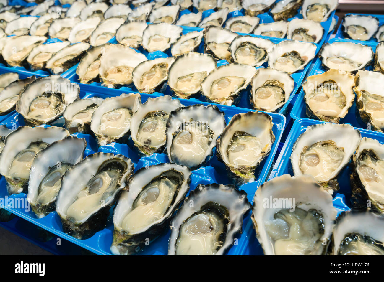 Close-up of oysters in fish market Stock Photo - Alamy