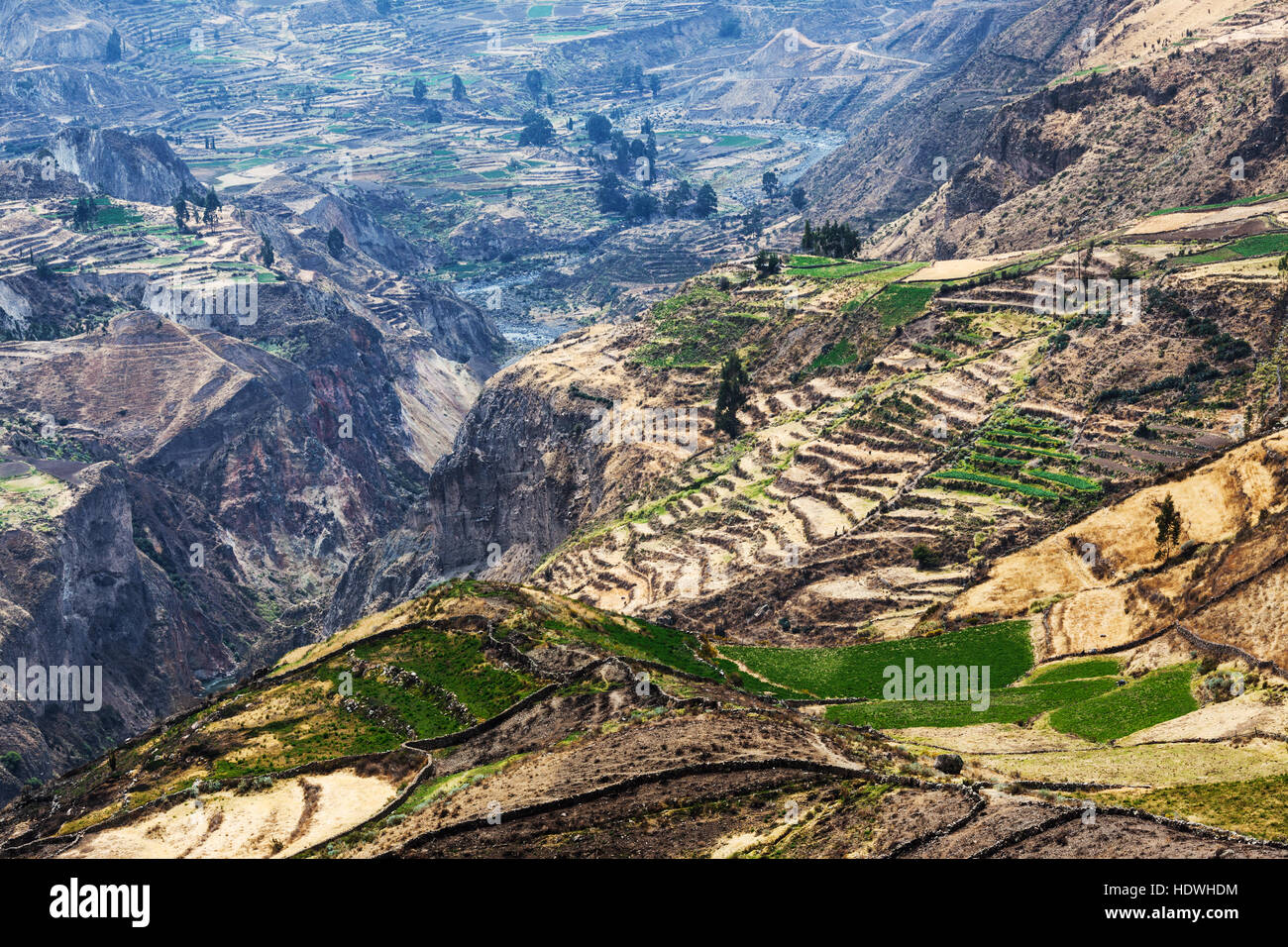 terrace fields in the mountain canyon Stock Photo - Alamy
