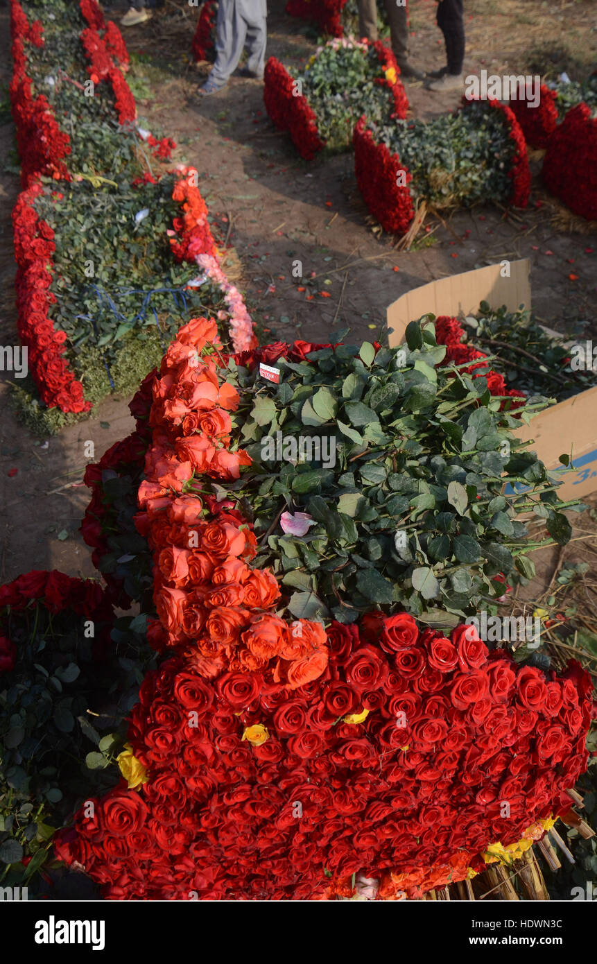 Lahore, Punjab, Pakistan. 14th Dec, 2016. Pakistani Flower wholesalers ...