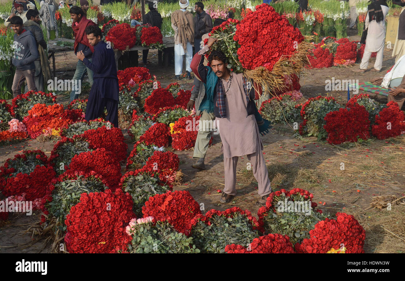Lahore, Punjab, Pakistan. 14th Dec, 2016. Pakistani Flower wholesalers ...