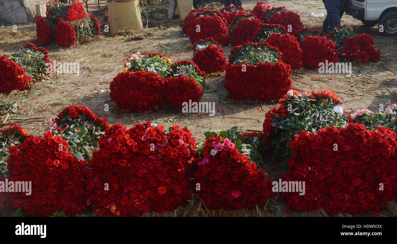 Lahore, Punjab, Pakistan. 14th Dec, 2016. Pakistani Flower wholesalers ...