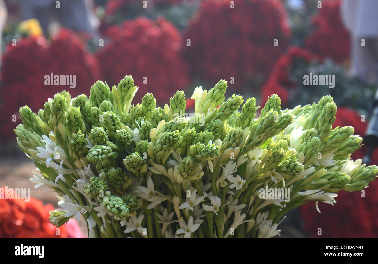 Lahore, Punjab, Pakistan. 14th Dec, 2016. Pakistani Flower wholesalers ...