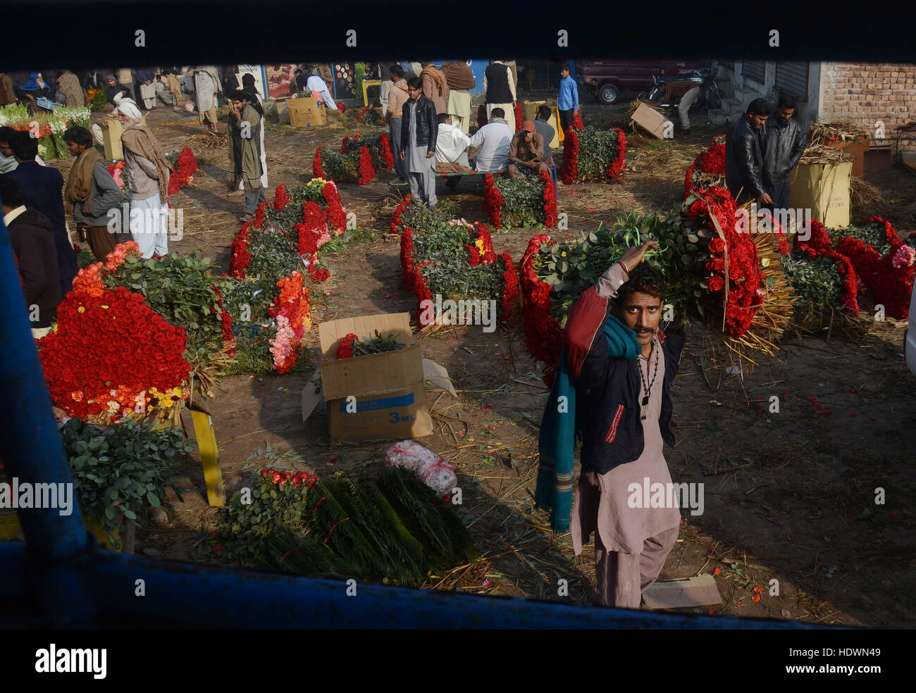 Lahore, Punjab, Pakistan. 14th Dec, 2016. Pakistani Flower wholesalers ...