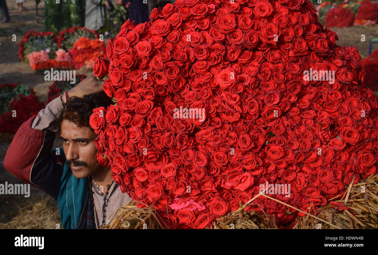 Lahore, Punjab, Pakistan. 14th Dec, 2016. Pakistani Flower wholesalers ...