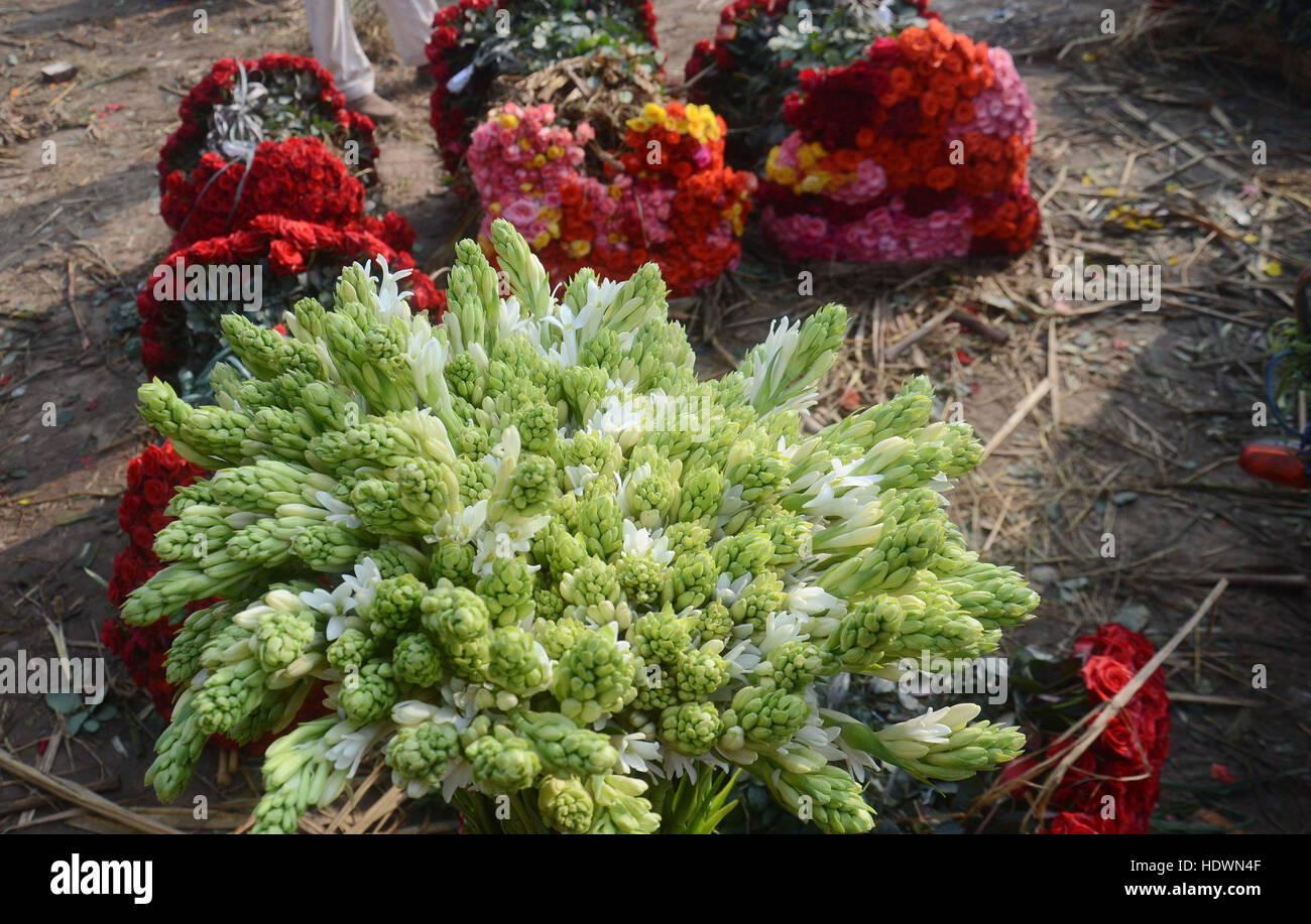 Lahore, Punjab, Pakistan. 14th Dec, 2016. Pakistani Flower wholesalers ...