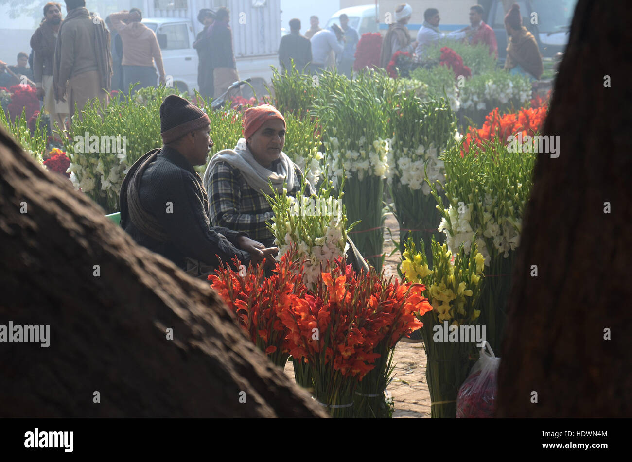 Lahore, Punjab, Pakistan. 14th Dec, 2016. Pakistani Flower wholesalers ...