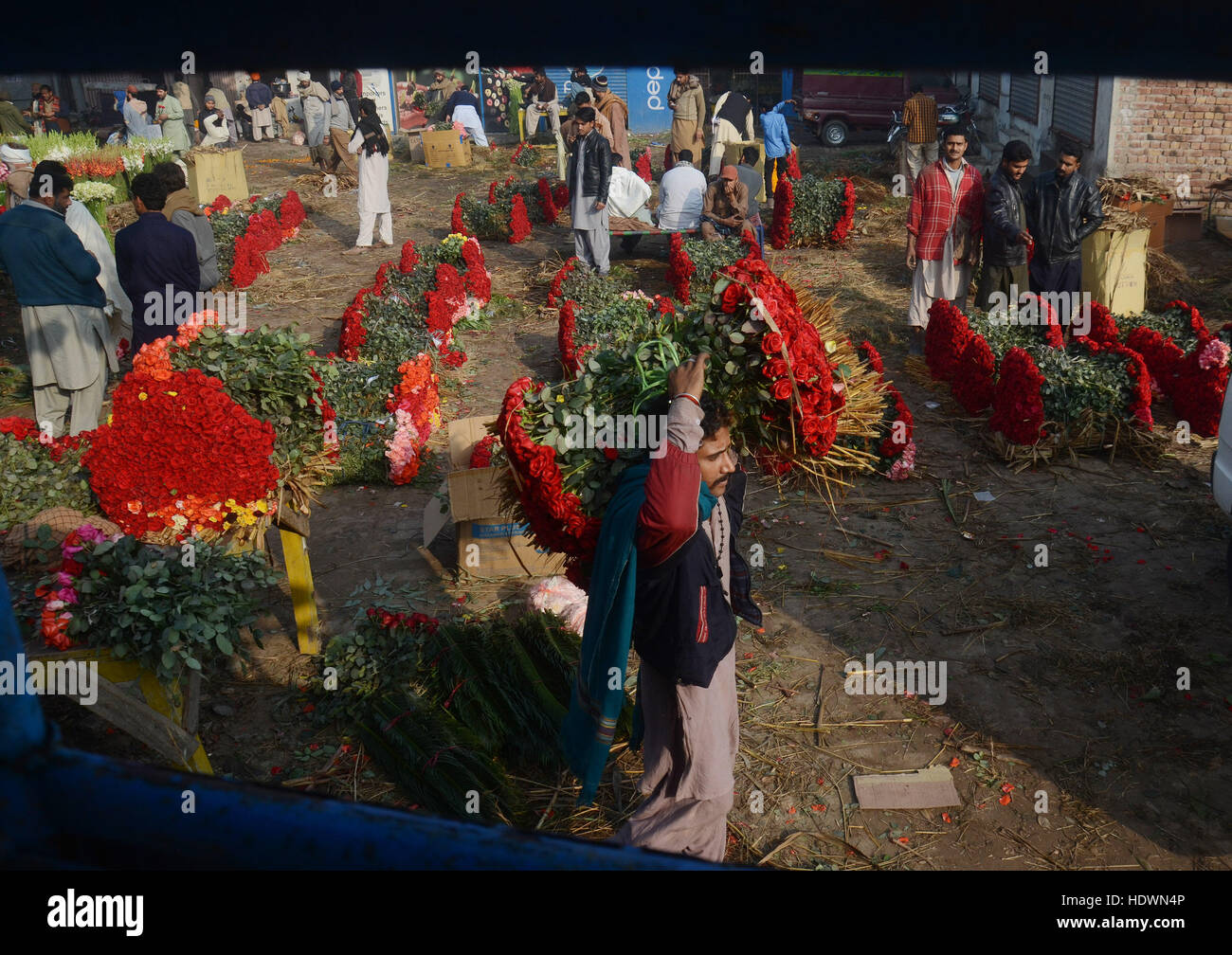 Lahore, Punjab, Pakistan. 14th Dec, 2016. Pakistani Flower wholesalers ...