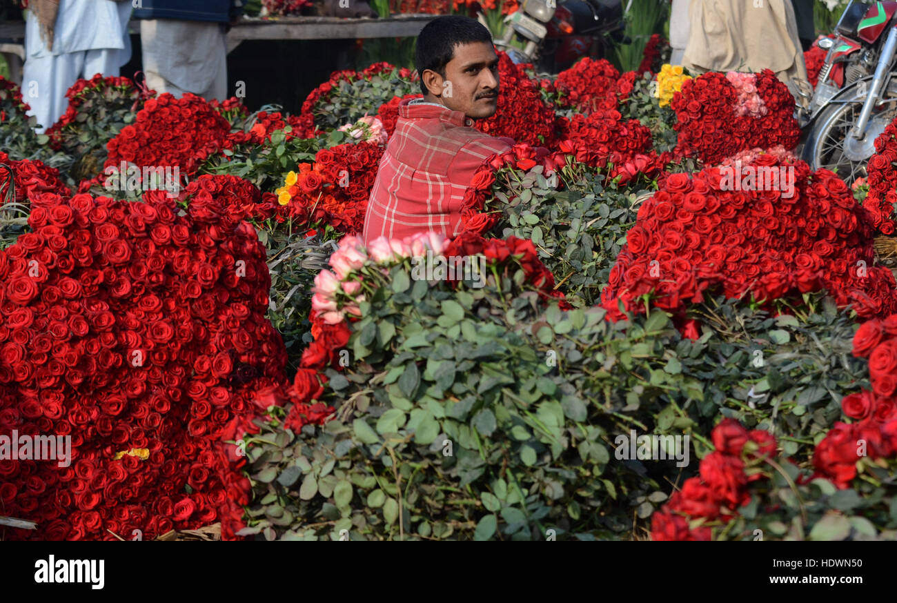 Lahore, Punjab, Pakistan. 14th Dec, 2016. Pakistani Flower wholesalers ...