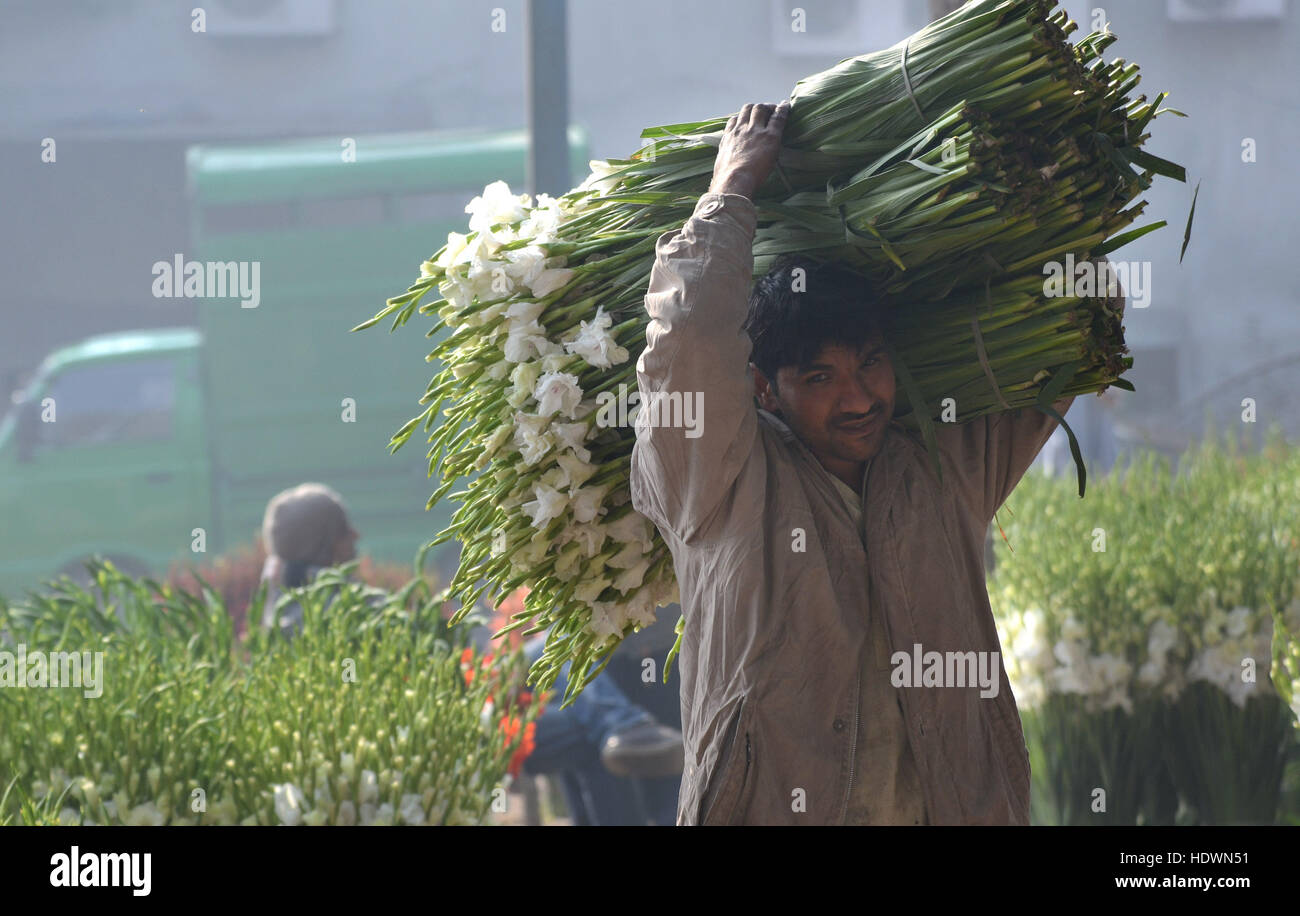 Lahore, Punjab, Pakistan. 14th Dec, 2016. Pakistani Flower wholesalers ...