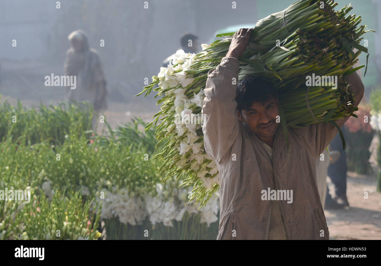 Lahore, Punjab, Pakistan. 14th Dec, 2016. Pakistani Flower wholesalers ...