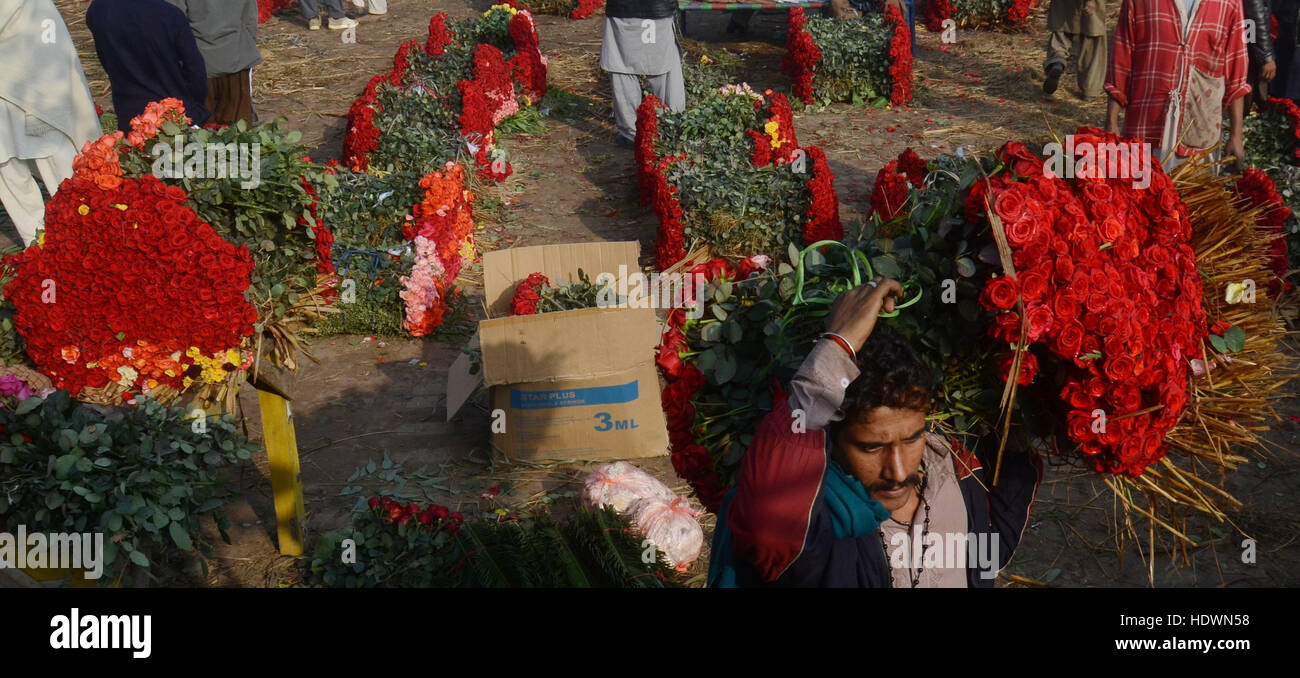 Lahore, Punjab, Pakistan. 14th Dec, 2016. Pakistani Flower wholesalers ...