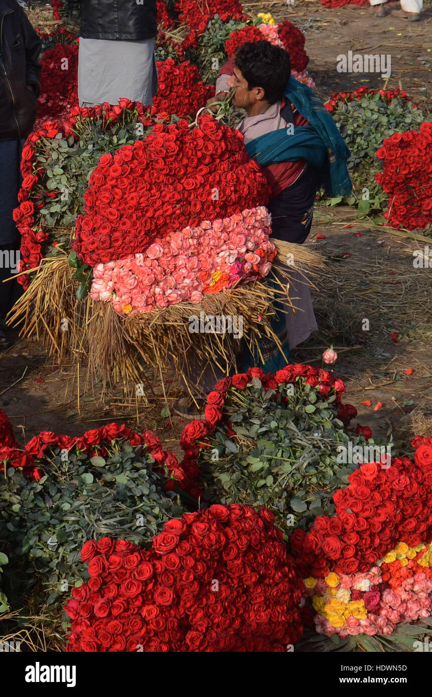 Lahore, Punjab, Pakistan. 14th Dec, 2016. Pakistani Flower wholesalers ...