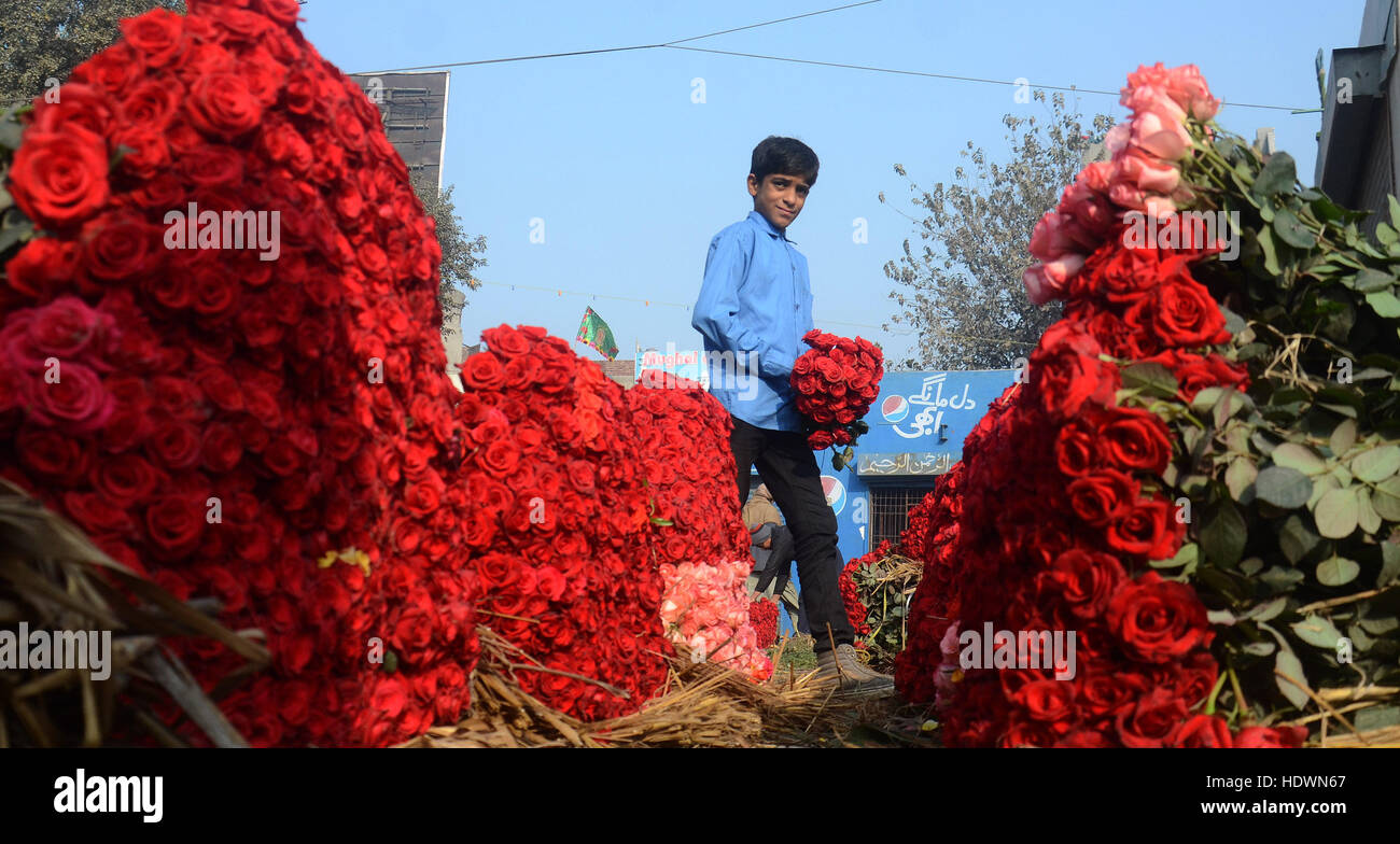 Lahore, Punjab, Pakistan. 14th Dec, 2016. Pakistani Flower wholesalers ...