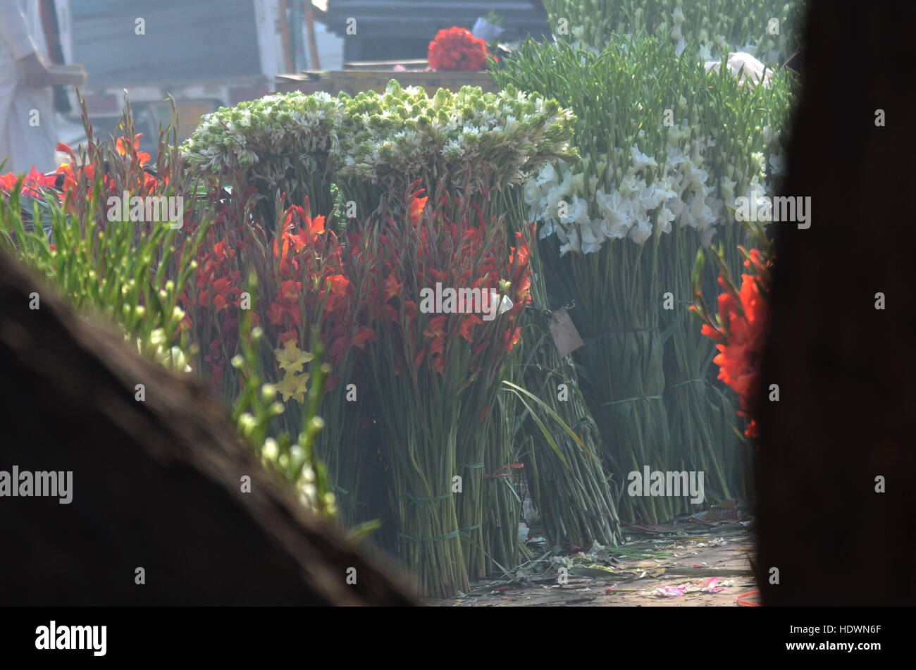 Lahore, Punjab, Pakistan. 14th Dec, 2016. Pakistani Flower wholesalers ...
