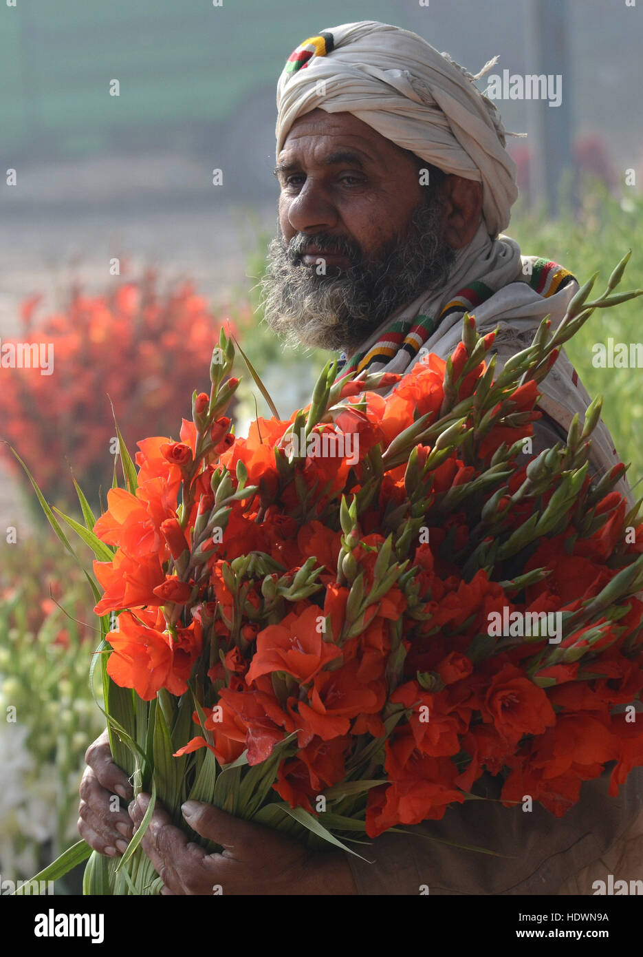 Punjab mandi hi-res stock photography and images - Alamy