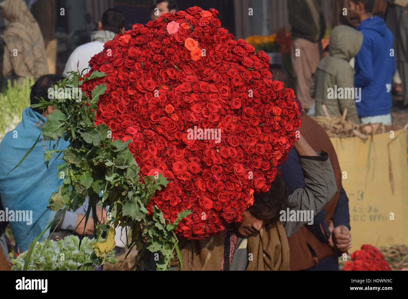 Lahore, Punjab, Pakistan. 14th Dec, 2016. Pakistani Flower wholesalers ...