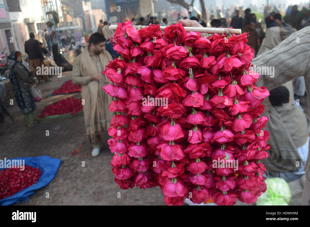 Lahore, Punjab, Pakistan. 14th Dec, 2016. Pakistani Flower wholesalers ...
