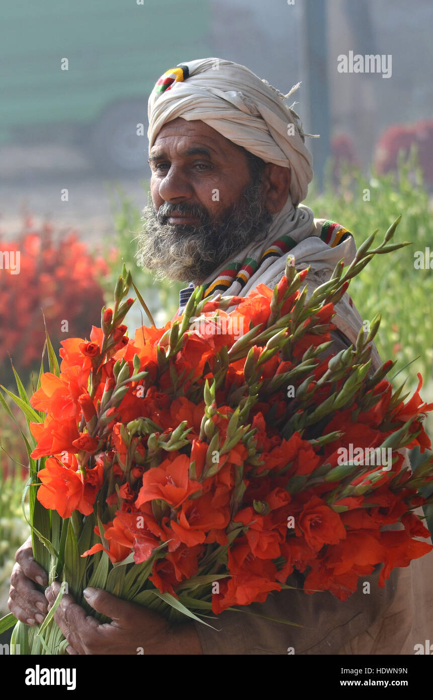 Lahore, Punjab, Pakistan. 14th Dec, 2016. Pakistani Flower wholesalers ...