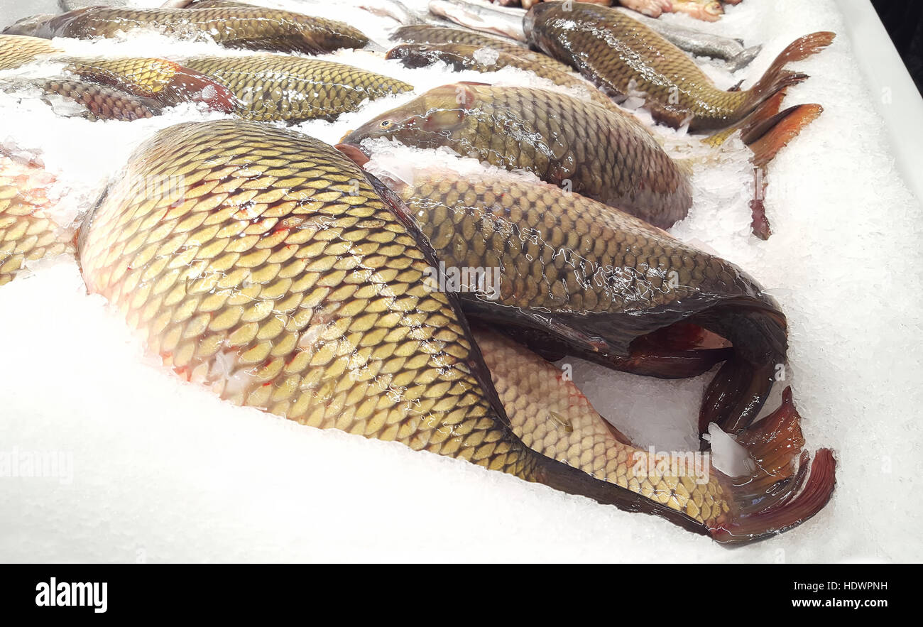 Frozen eye fish hi-res stock photography and images - Alamy