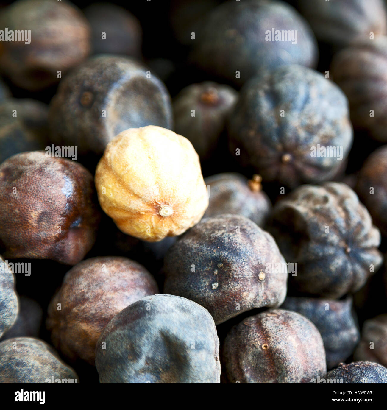 Fragrans lemon hi-res stock photography and images - Alamy