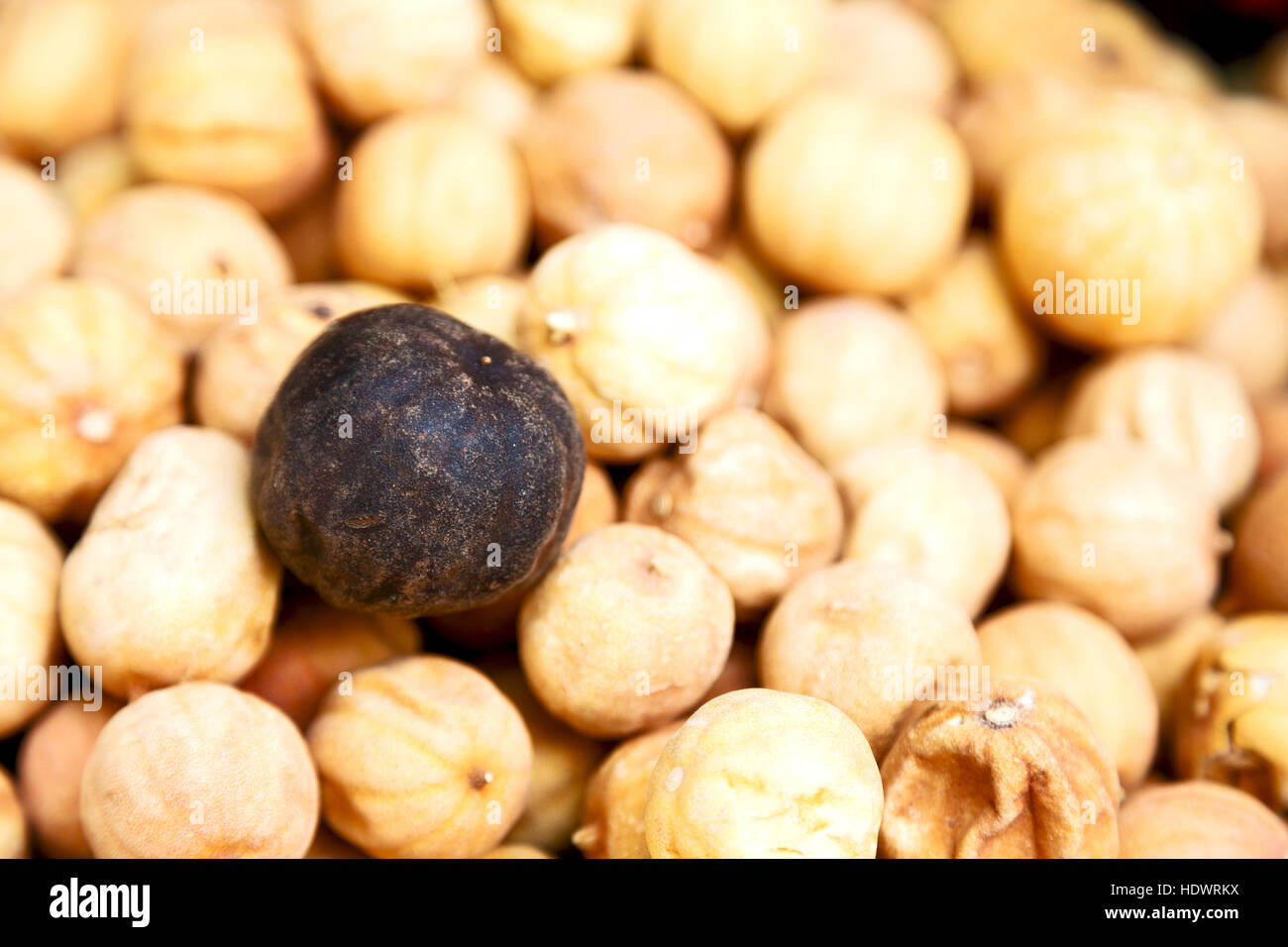 in iran blur typical dry lemon in abstract pattern background flavor ...