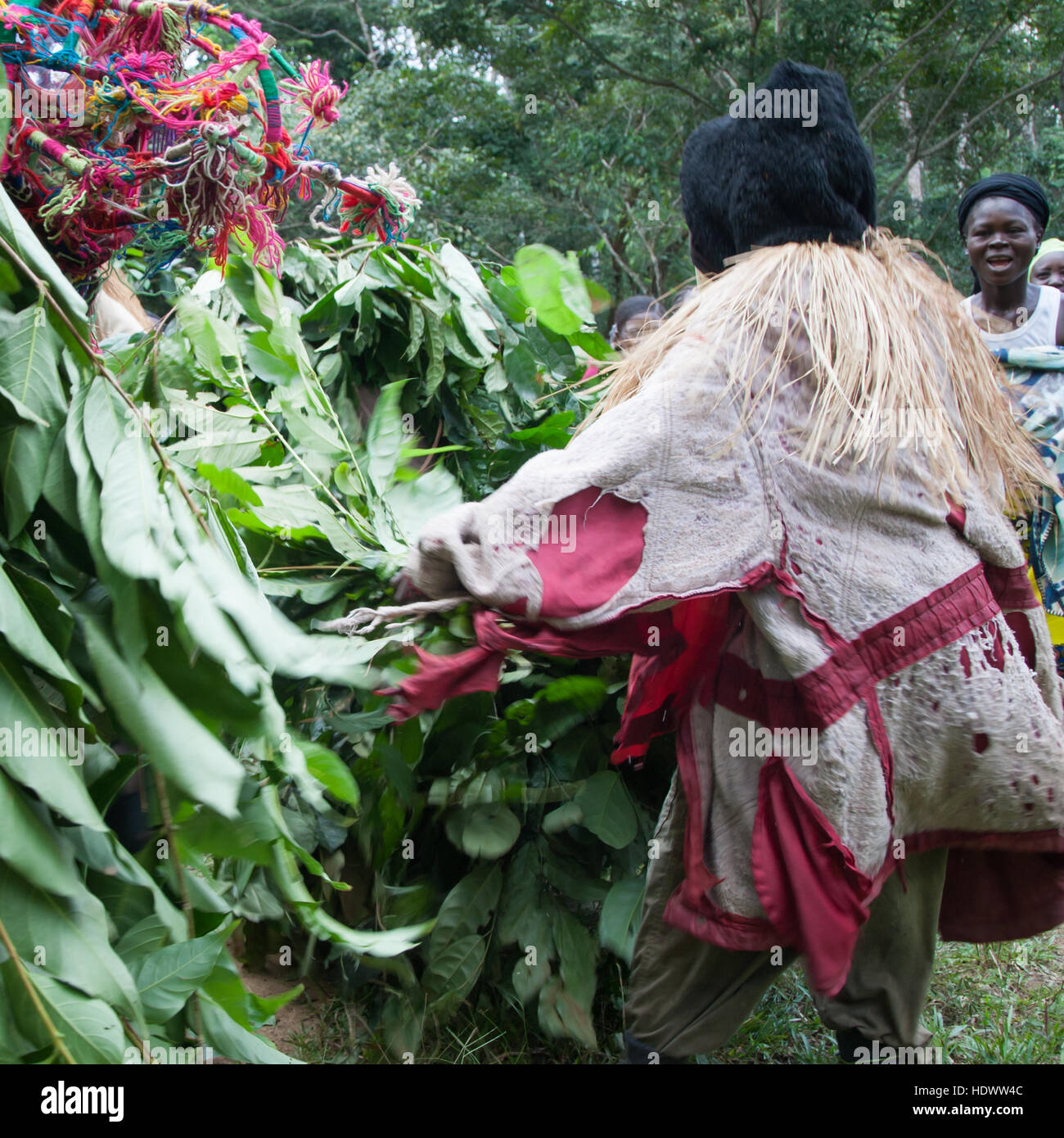 Mende people dance with gbeni mask in Gola Rain Forest Stock Photo - Alamy