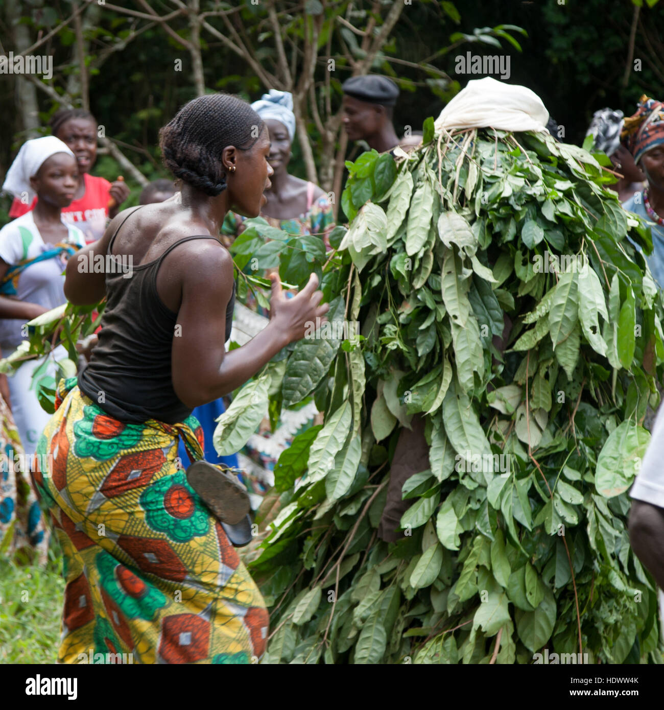 Mende people dance with gbeni mask in Gola Rain Forest Stock Photo - Alamy