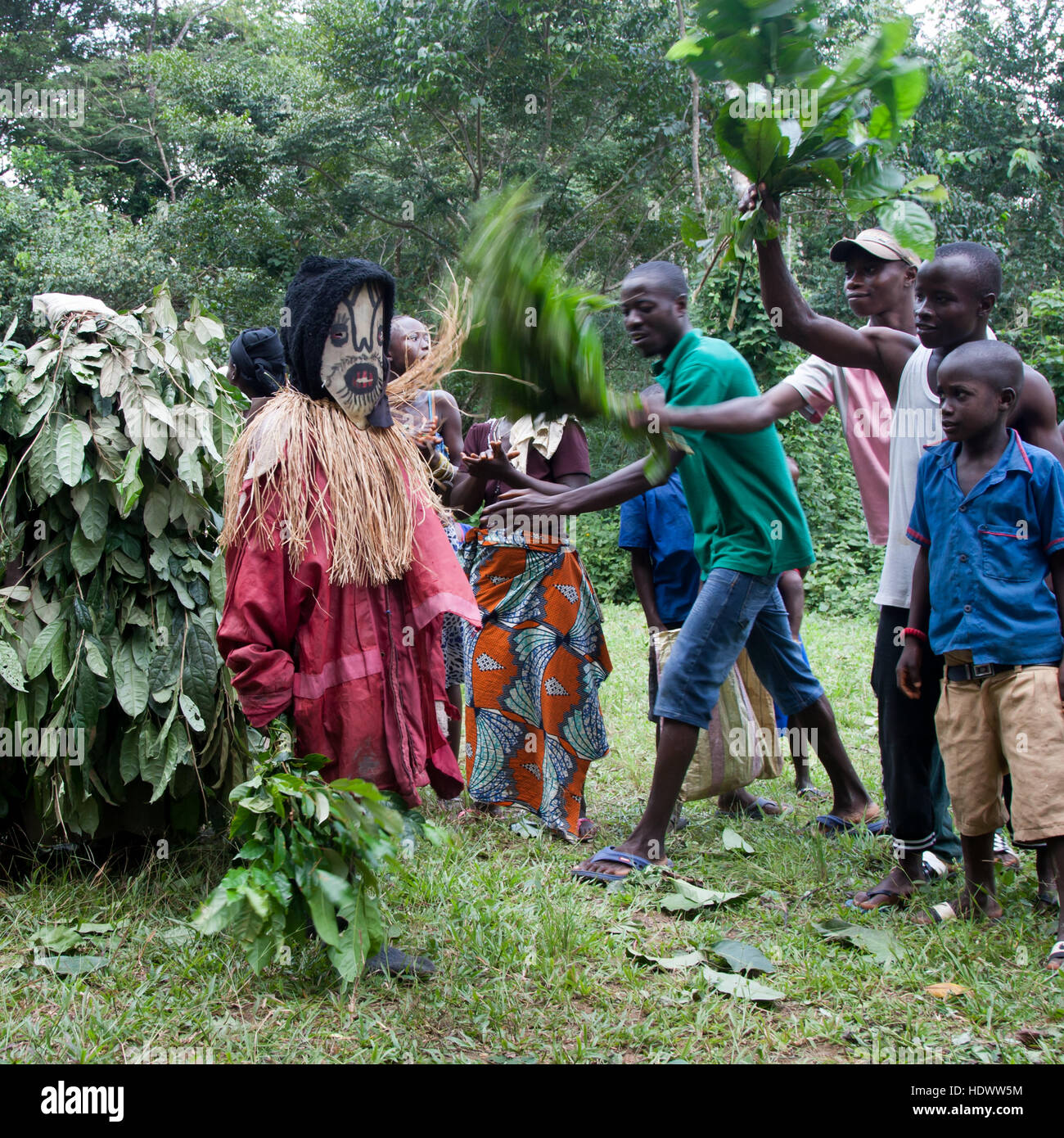 Mende people dance with gbeni mask in Gola Rain Forest Stock Photo - Alamy