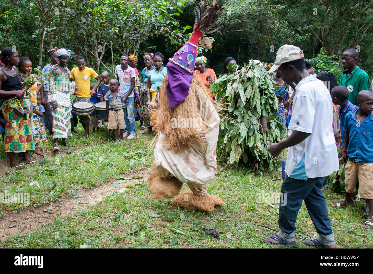 Mende people dance with gbeni mask in Gola Rain Forest Stock Photo - Alamy