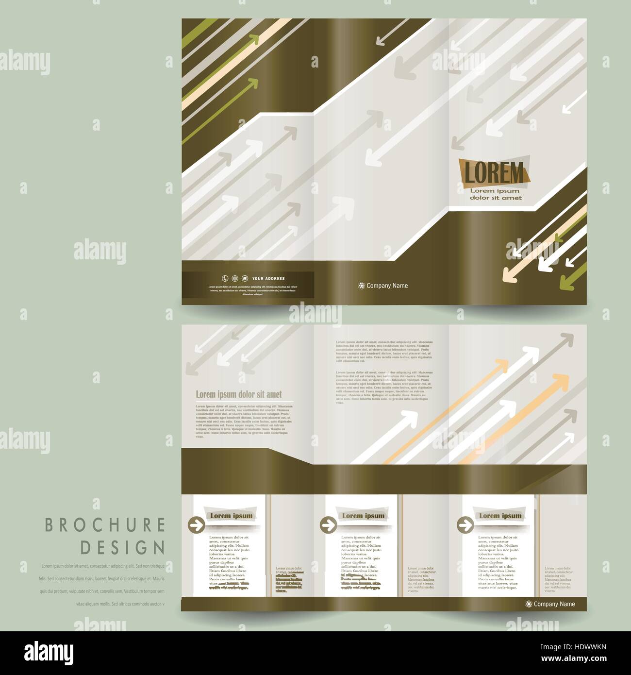 elegant tri-fold template design with arrows elements Stock Vector ...