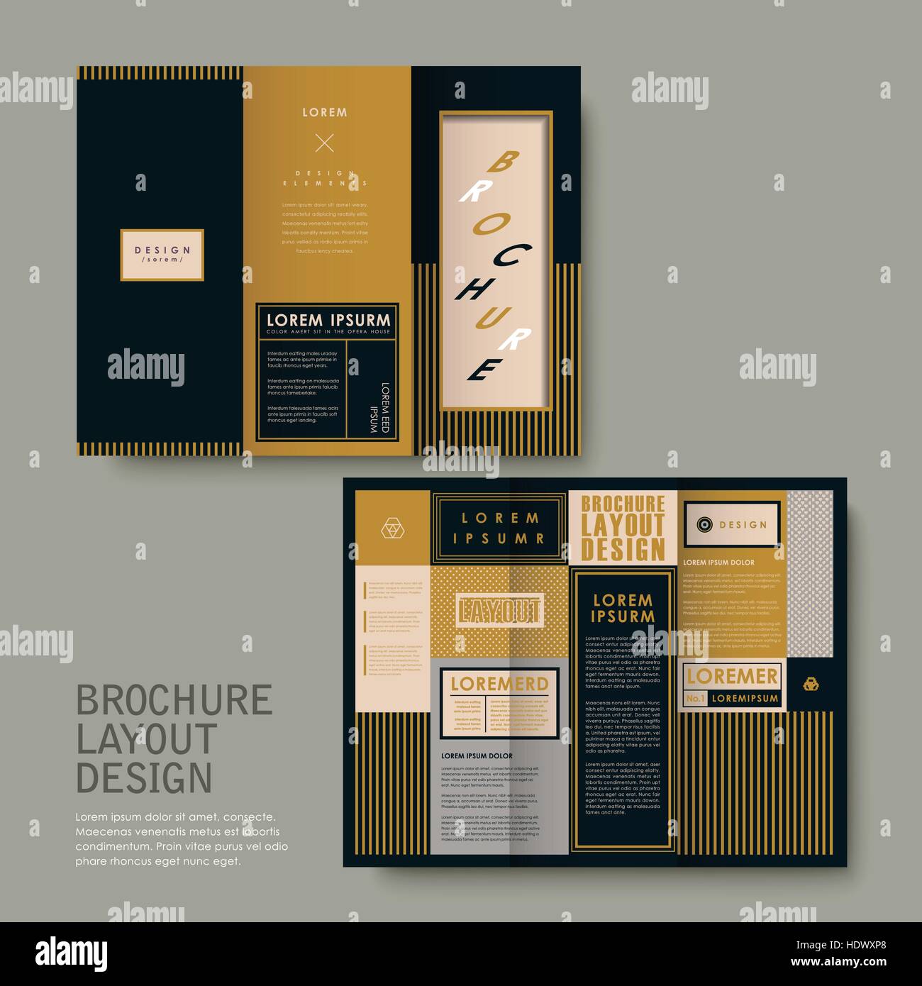 Information booklet brochure color Stock Vector Images - Alamy