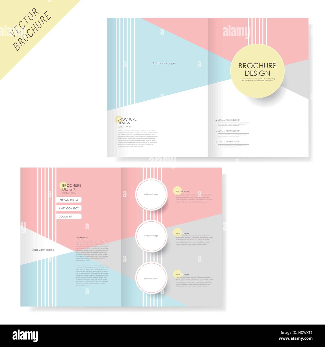 vector geometry brochure design with pink and light blue Stock Vector ...