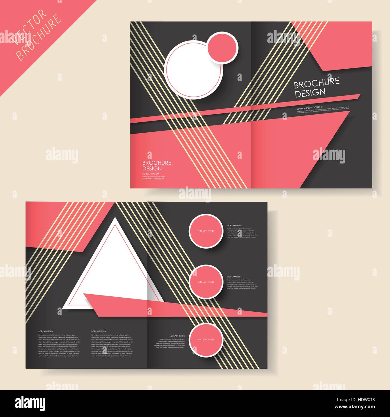 Book and publication content Stock Vector Images - Alamy