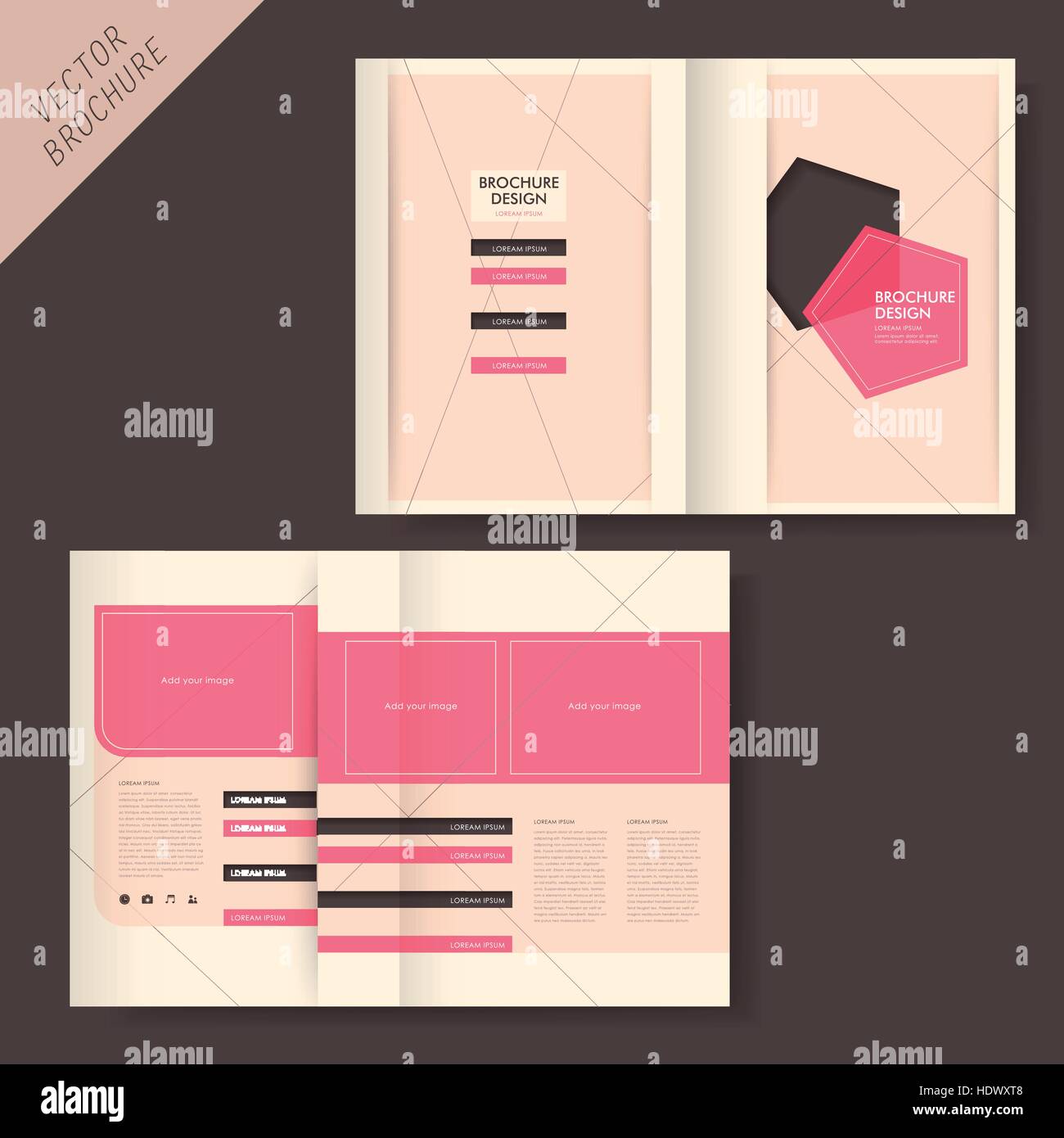 vector geometry brochure design with line and grid Stock Vector Image ...