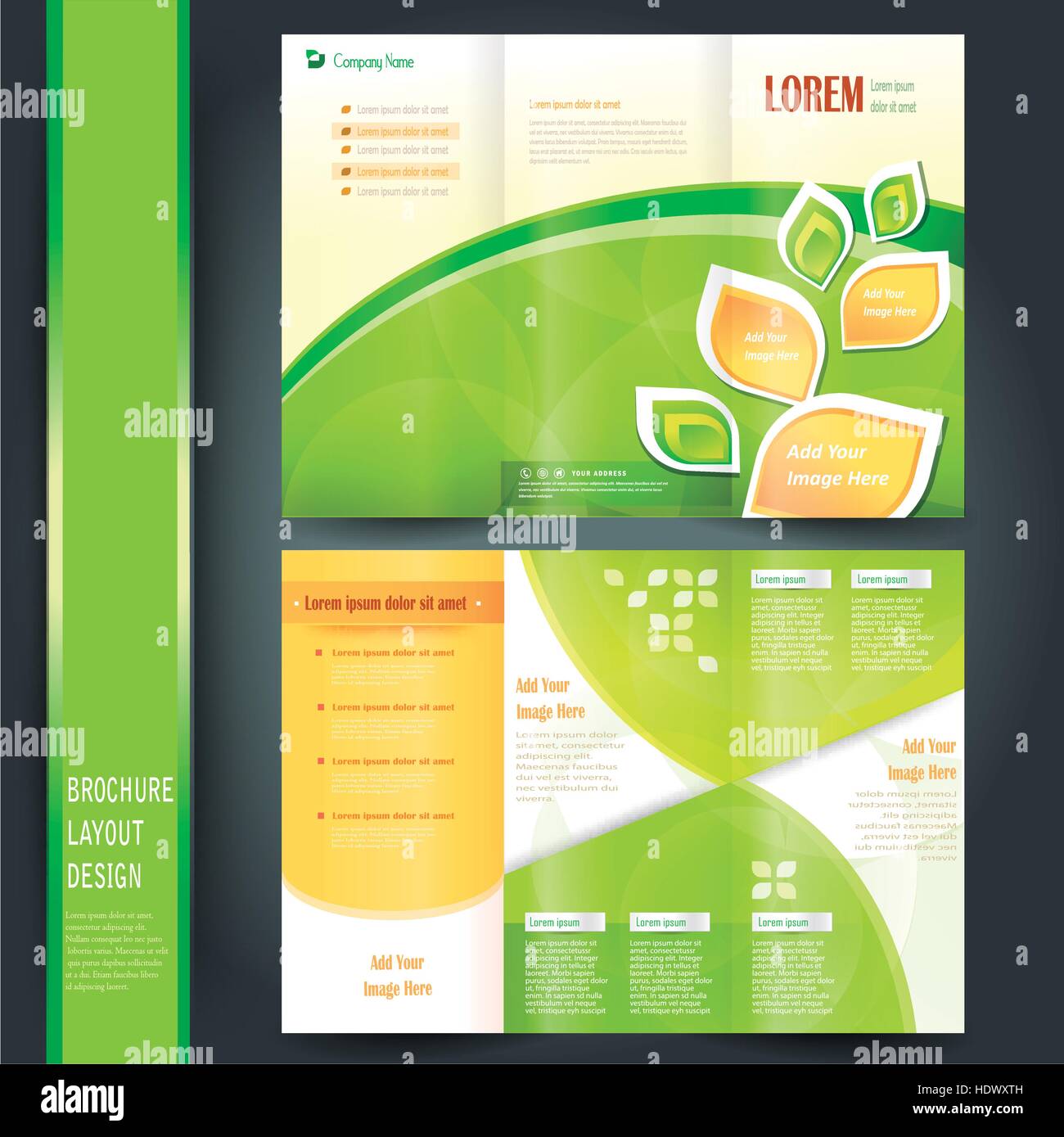 tri fold business brochure template with green Stock Vector Image & Art ...