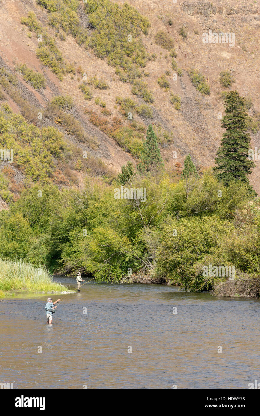 Fly fish hi-res stock photography and images - Alamy